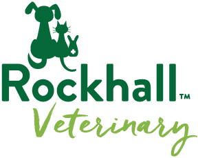 Rockhall Vets – Welcome to Rockhall Veterinary